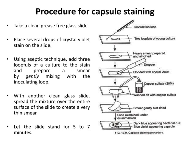 Capsule staining.pptx