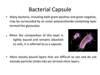 Capsule staining.pptx