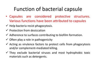 Capsule staining.pptx