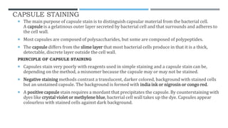 CAPSULE STAINING AND METACHROMATIC STAINING.pptx