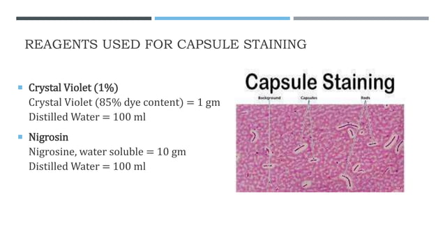 CAPSULE STAINING AND METACHROMATIC STAINING.pptx | Chemistry | Science