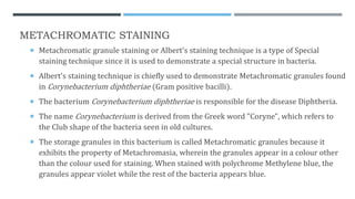 CAPSULE STAINING AND METACHROMATIC STAINING.pptx