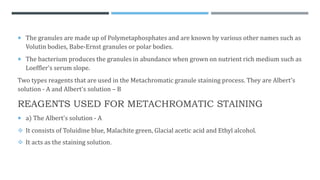 CAPSULE STAINING AND METACHROMATIC STAINING.pptx