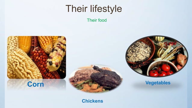 Capsulization of red indians | PPTX