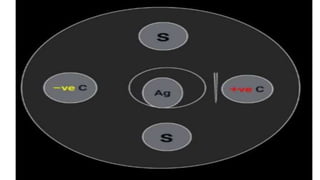 CAP test.ppt | Standardized Testing | Educational Assessment