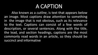 caption.pdf | Photo Editing Software | Computer Software and Applications