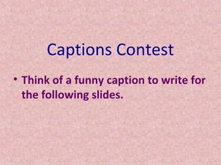 Caption contest | PPT