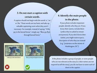 how to write a good caption (english presentation) | PPTX