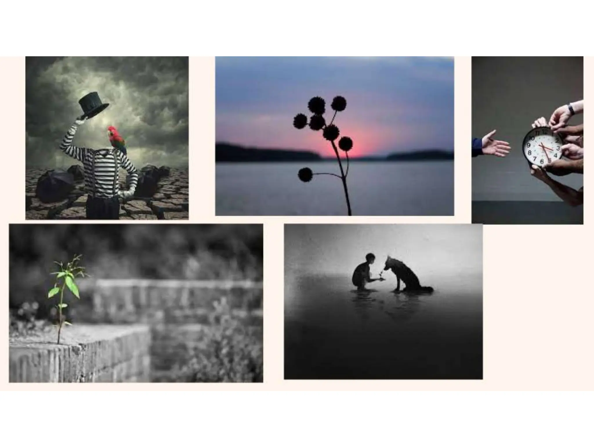 Definition, Social Function, Language Features, Types of Caption | PPTX