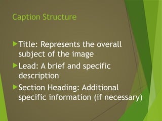 Caption_Text_Material_for_12th_Grade_English.pptx