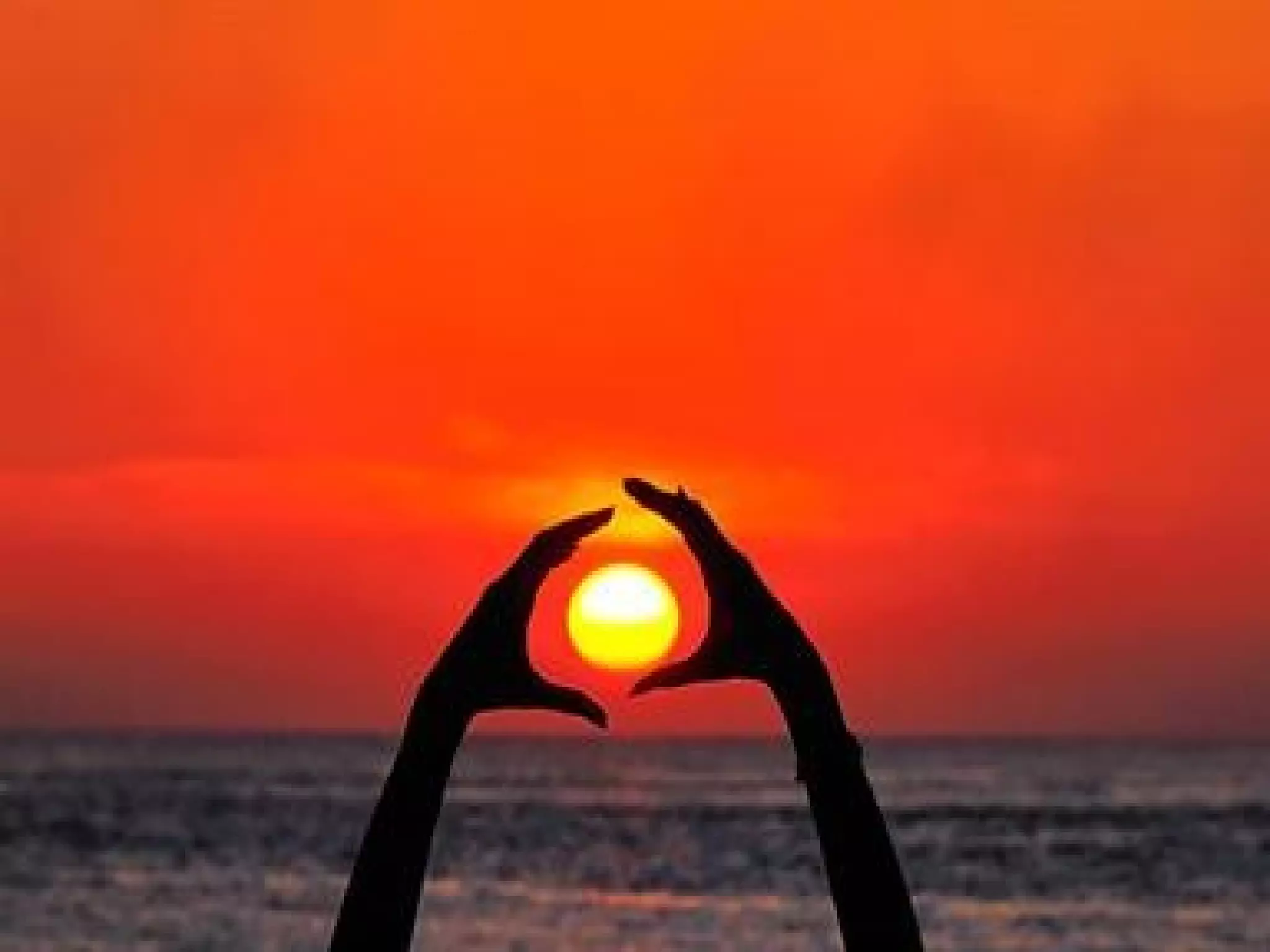 Captivating Examples Of Silhouette Photography | PPS | Photography ...