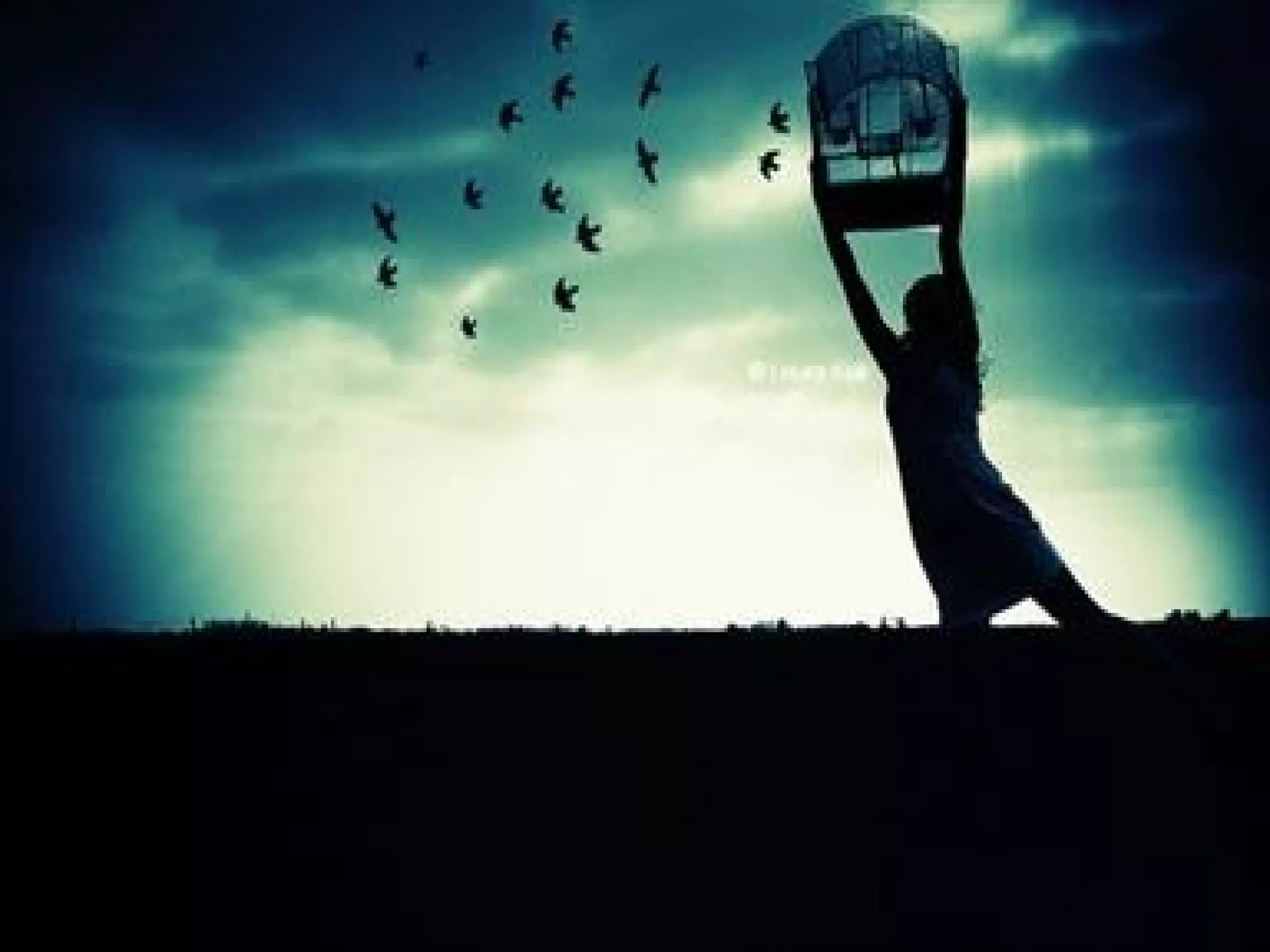 Captivating Examples Of Silhouette Photography | PPS | Photography ...