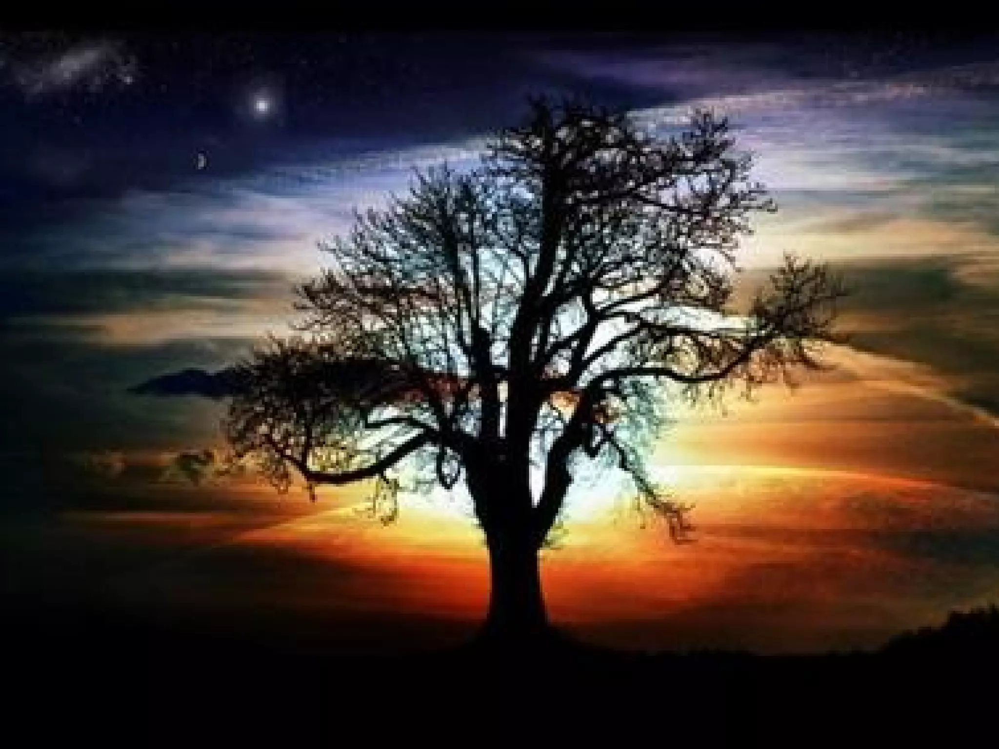 Captivating Examples Of Silhouette Photography | PPS | Photography ...