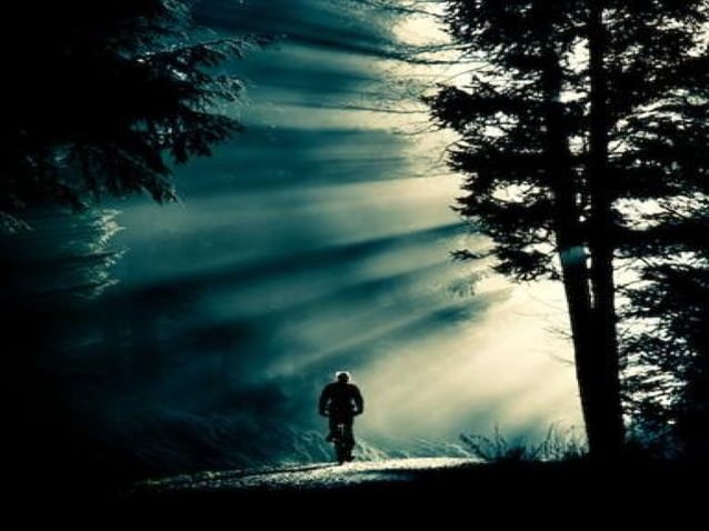 Captivating Examples Of Silhouette Photography | PPS | Photography ...