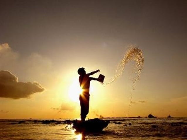 Captivating Examples Of Silhouette Photography | PPS | Photography ...