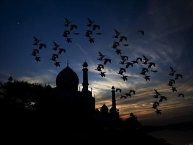 Captivating Examples Of Silhouette Photography