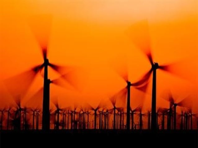 Captivating Examples Of Silhouette Photography