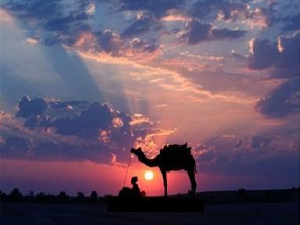 Captivating Examples Of Silhouette Photography