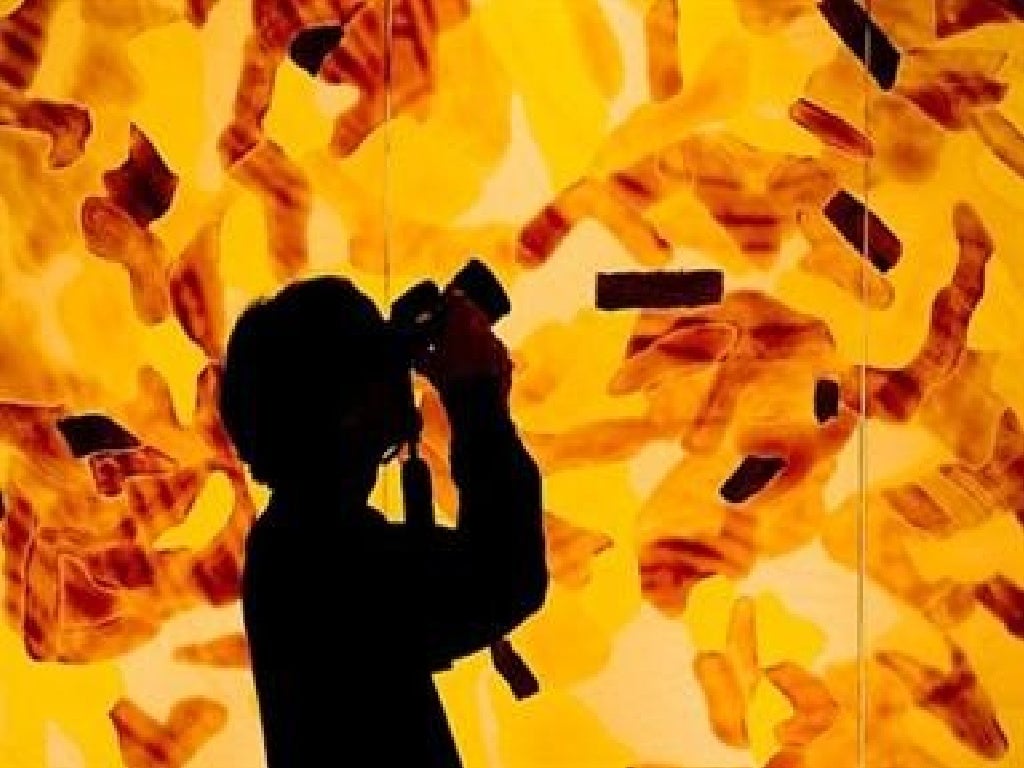 Captivating Examples Of Silhouette Photography