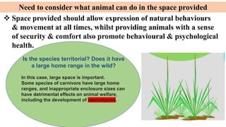 captive animals enclosers.pptx