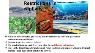 captive animals enclosers.pptx