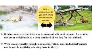 captive animals enclosers.pptx