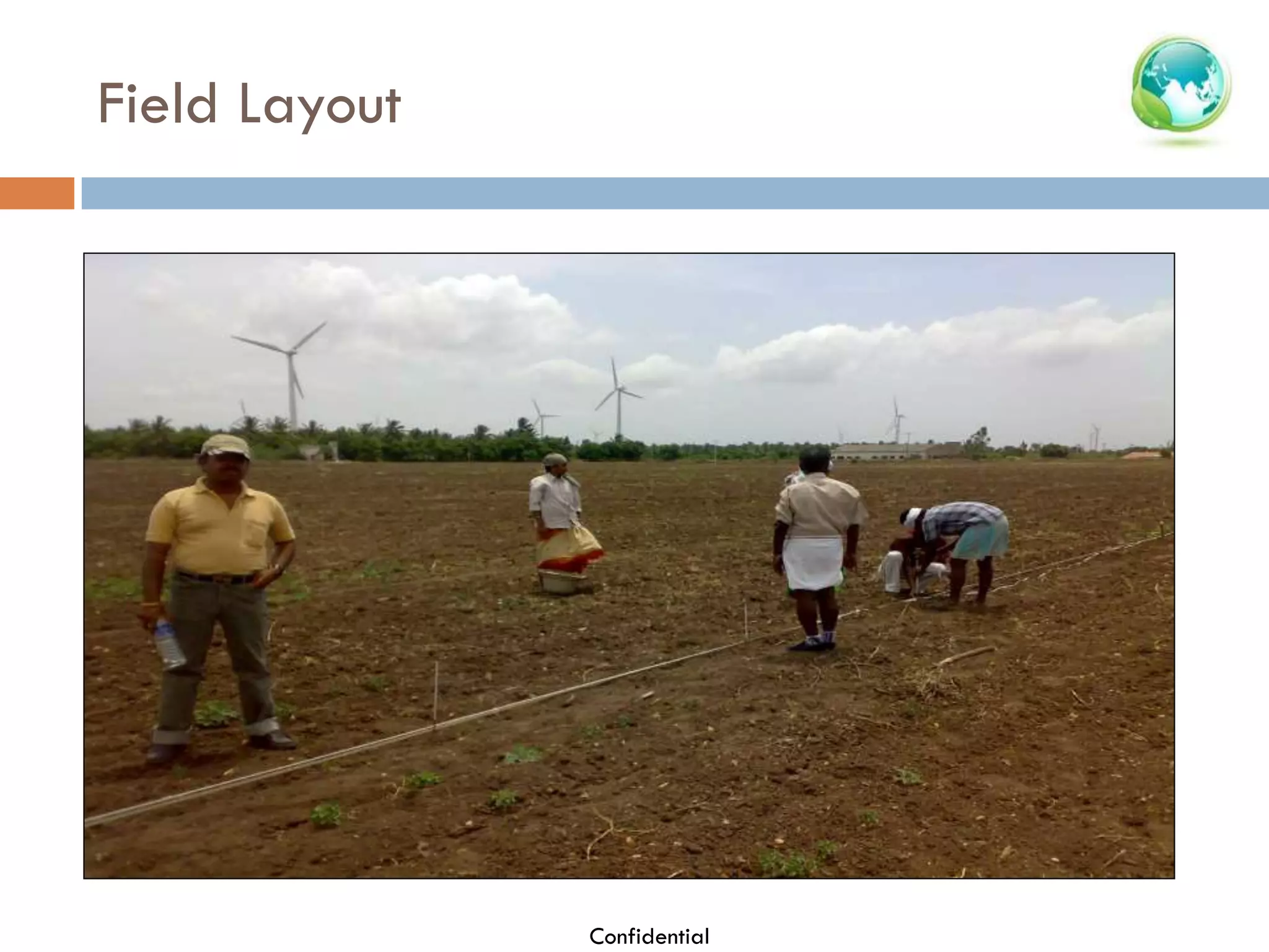 Captive biomass energy plantations | PDF