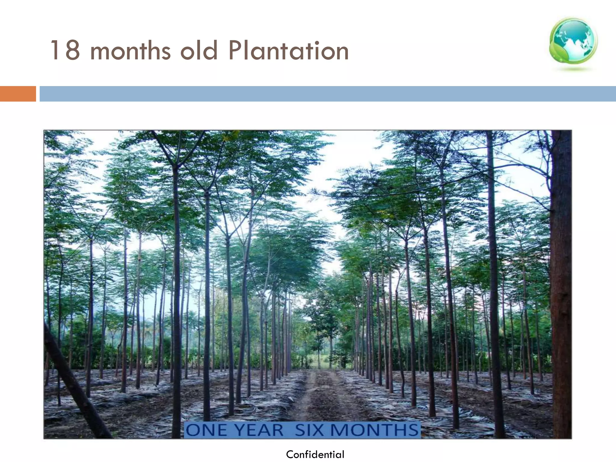 Captive biomass energy plantations | PDF