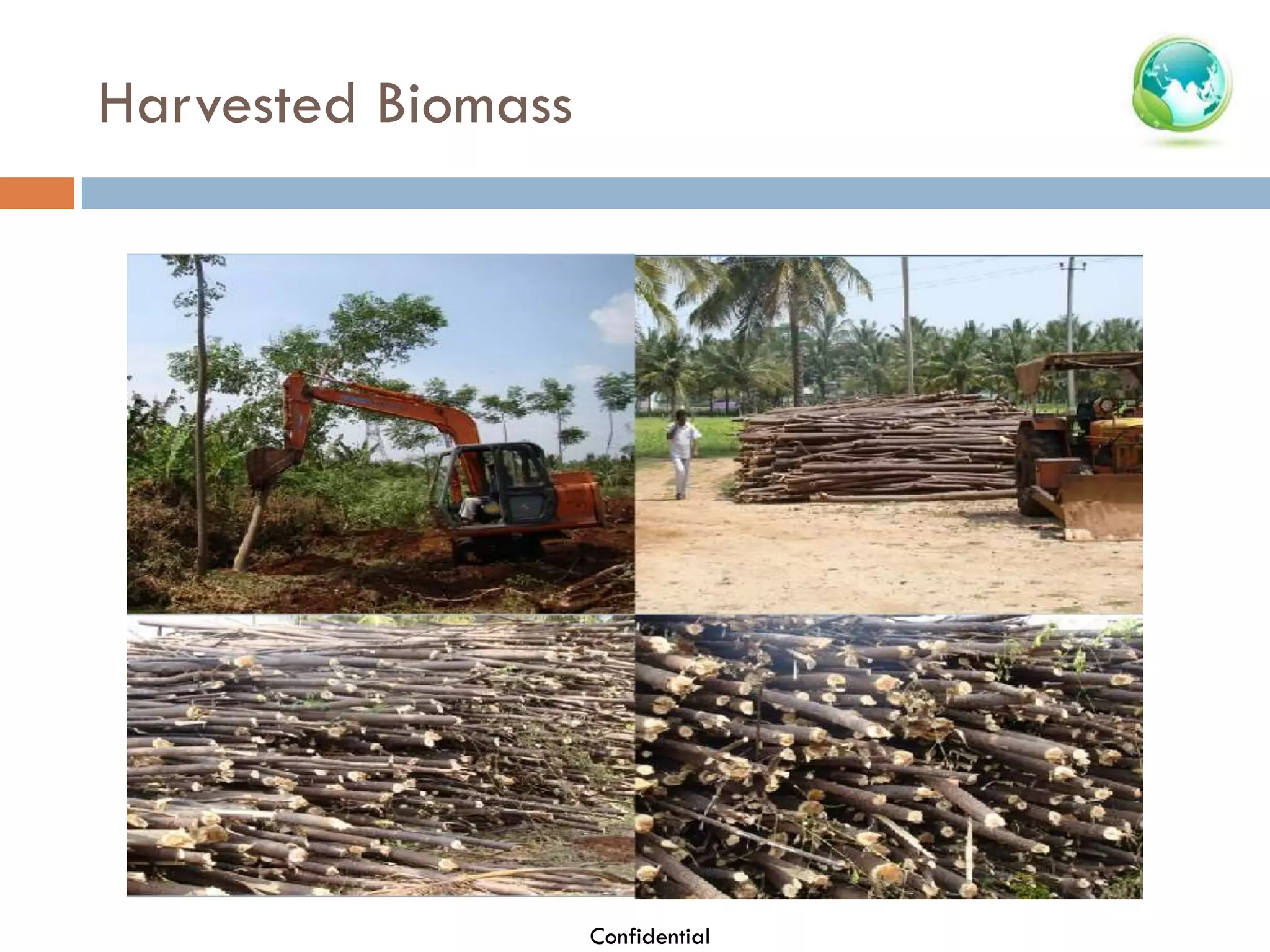 Captive biomass energy plantations | PDF