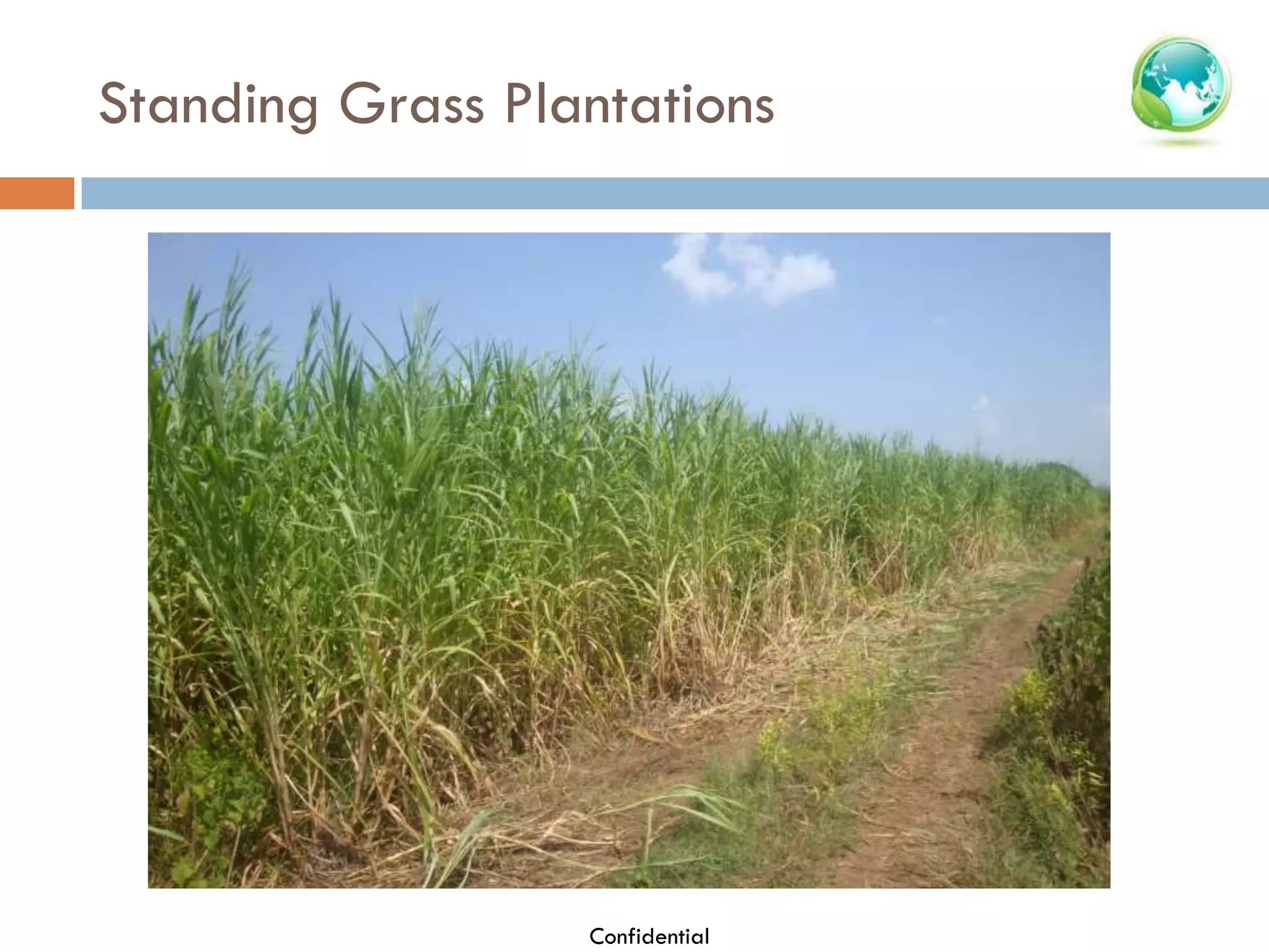 Captive biomass energy plantations | PDF