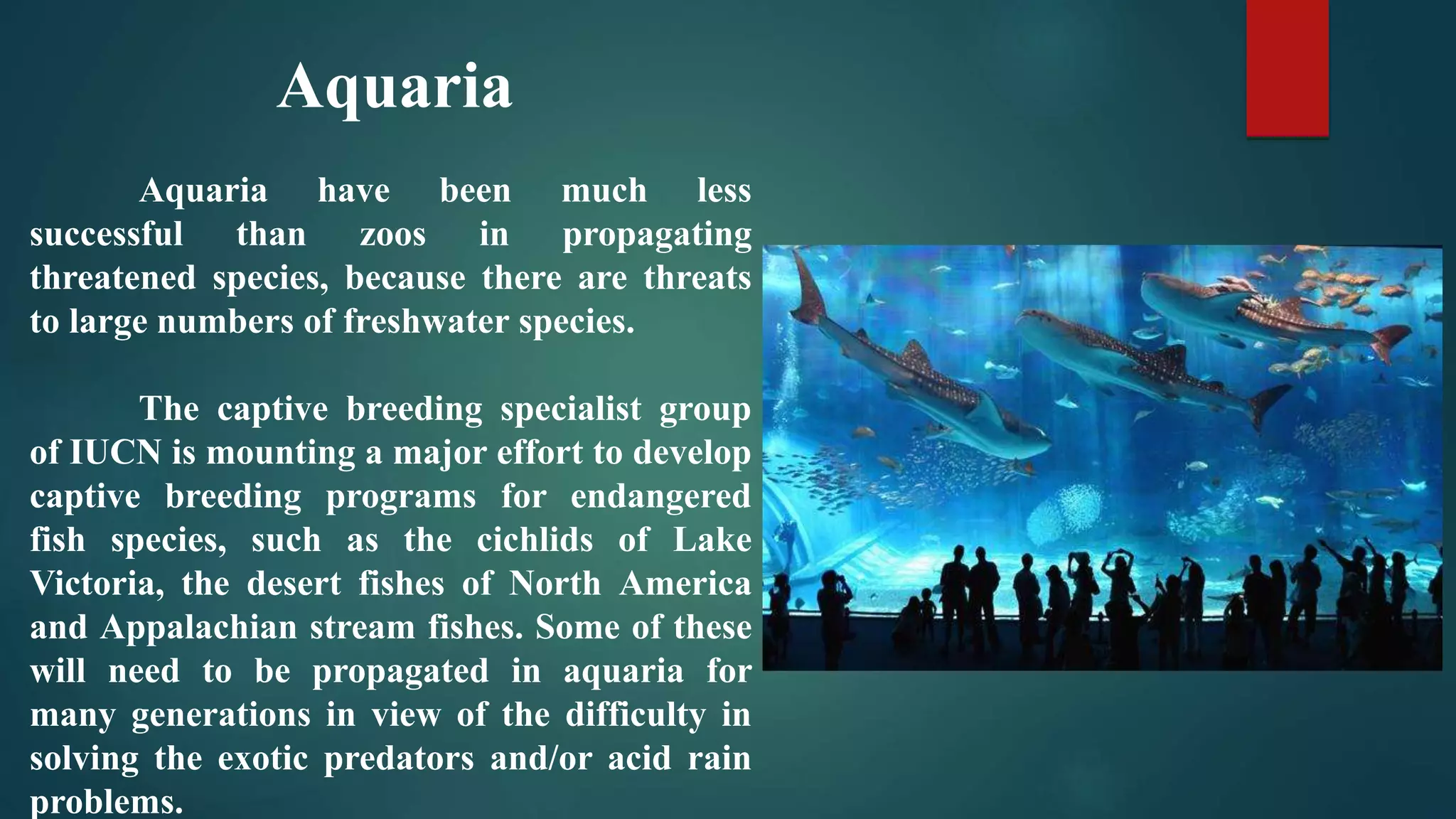 Captive breeding with case studies | PPTX