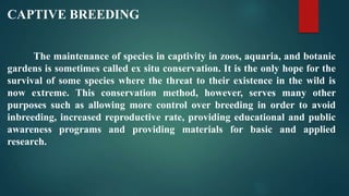 Captive breeding with case studies | PPTX