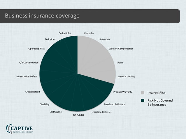 Captive Insurance Group - A Risk Management Strategy | PDF | Pet ...
