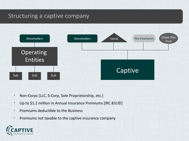 Captive Insurance Group - A Risk Management Strategy | PDF | Pet ...