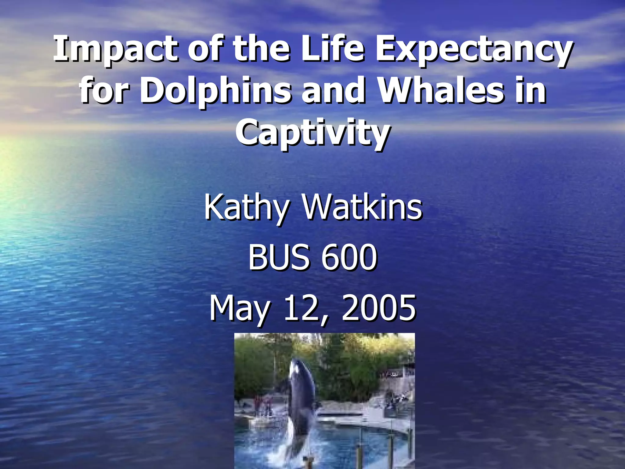 Captivity of dolphins and whales | PPT