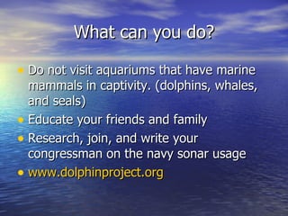 Captivity of dolphins and whales | PPT