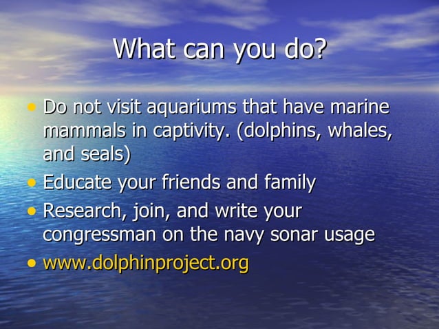Captivity of dolphins and whales | PPT