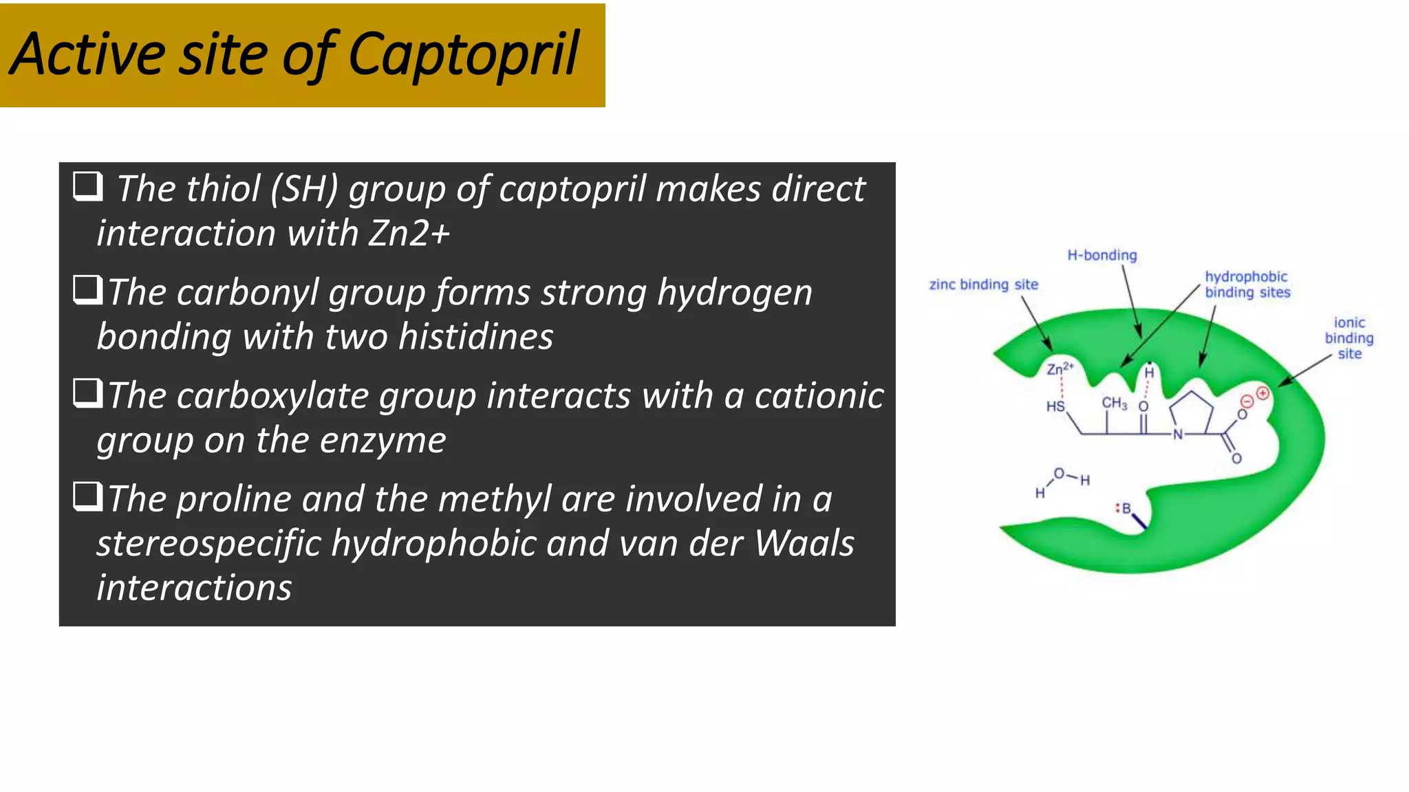 Captopril | PPTX