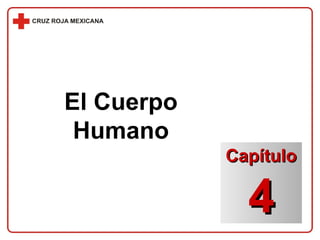 CapíTulo 04 El Cuerpo Humano | PPT
