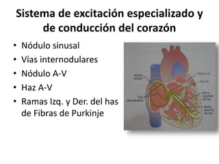 Cap 10 Fisiologia: Excitacion ritmica del corazon | PPTX