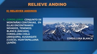 CAPÍTULO_17_ EL RELIEVE ANDINO.pptx SUS CARACTERISTICAS | PPTX