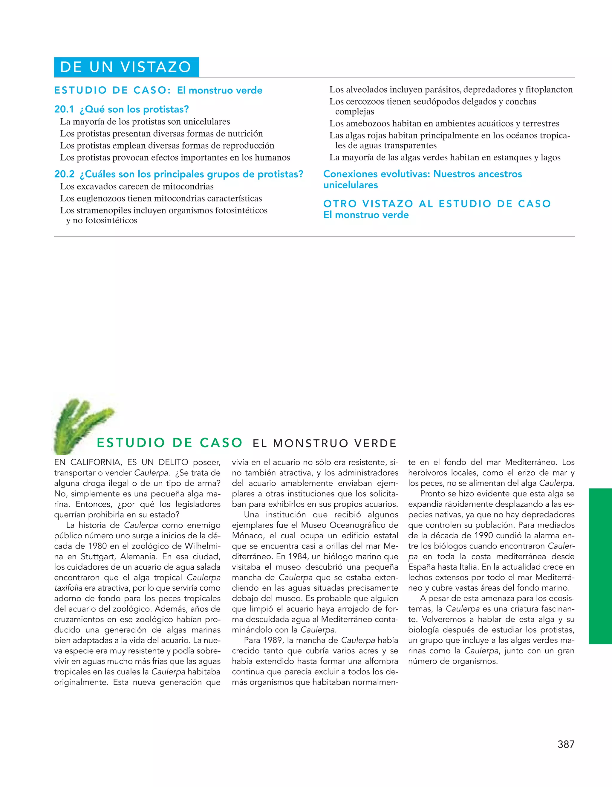 Capítulo 20 la diversidad de los protistas | PDF