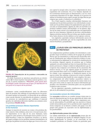 Capítulo 20 la diversidad de los protistas | PDF