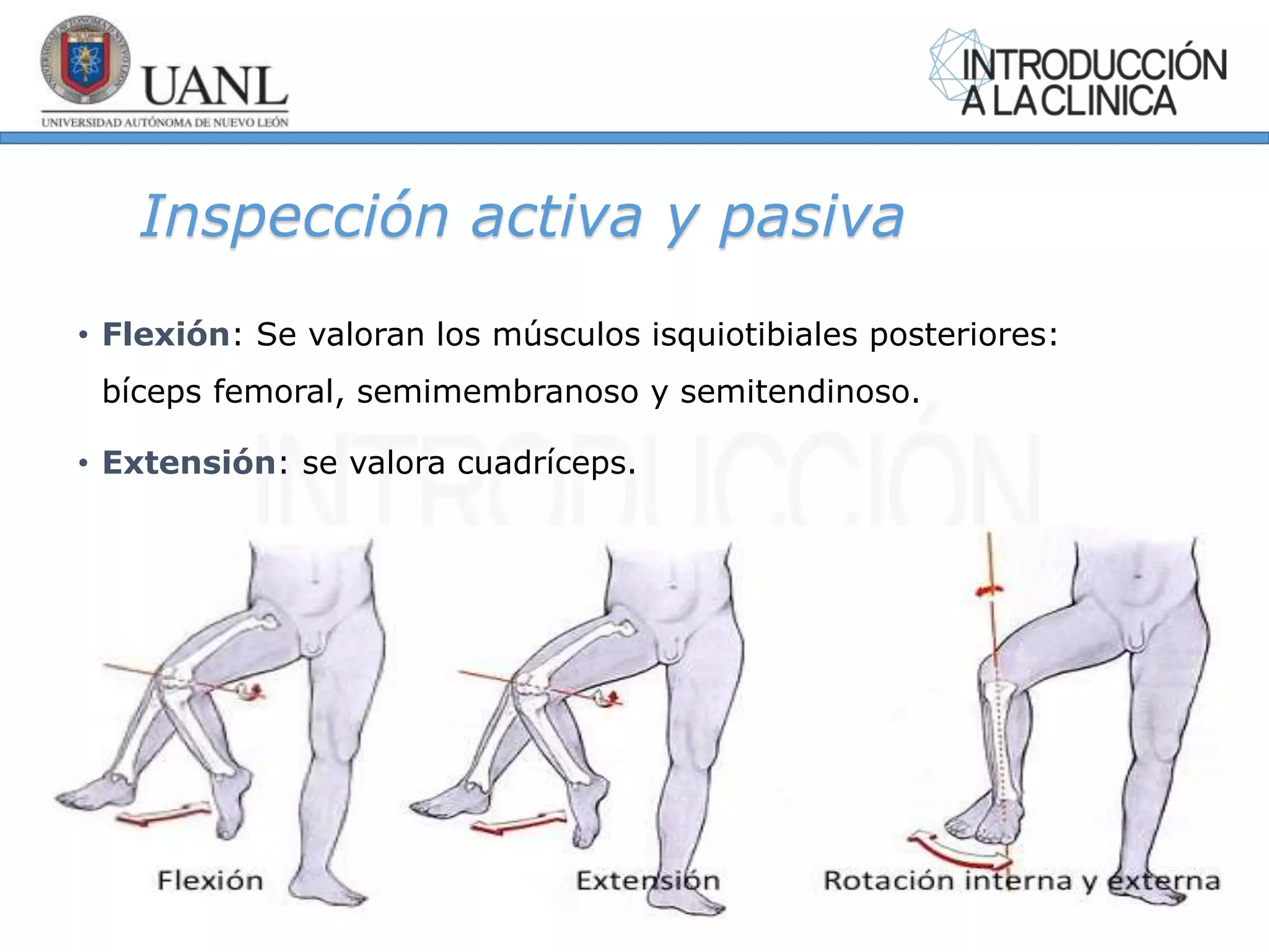 Exploración Física de Rodilla.pptx