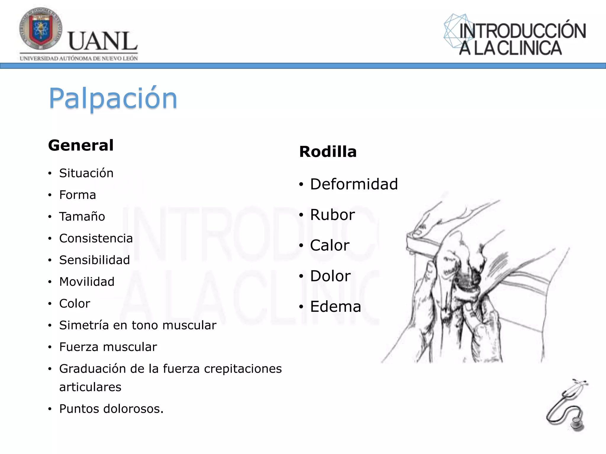 Exploración Física de Rodilla.pptx