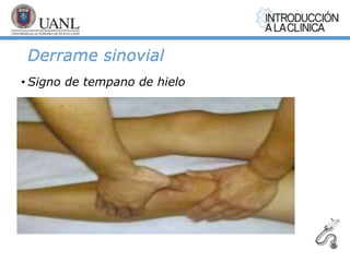 Exploración Física de Rodilla.pptx