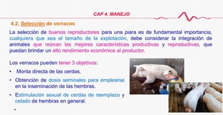 Capítulo 4-Primera Parte.pptx