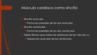 Capítulo 9. Músculo cardíaco; el corazón como bomba y la función de las ...