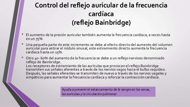 Regulación nerviosa de la circulación y control rápido de la presión ...