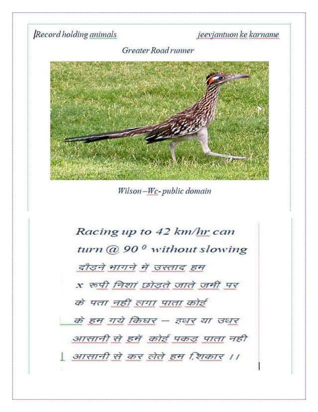Record holder animals Jeevjantuon ke karname chapter 1 leap jump or run great road runner | PDF